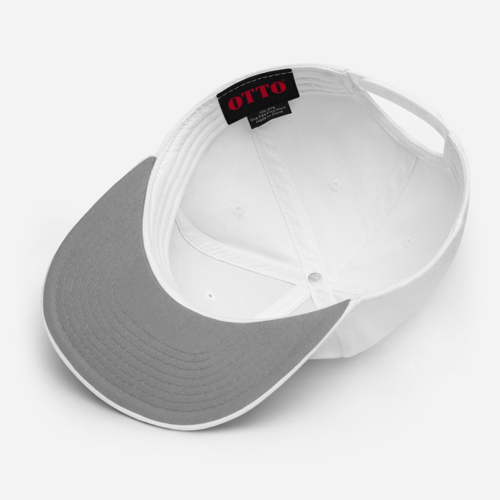 Provasic Logo “Snapback” Hat (White or Black/Teal) – Devlin Macgregor ...